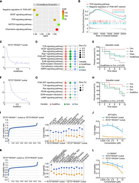 Genomic And Transcriptomic Profiling Of Peripheral T Cell Lymphoma Reveals Distinct Molecular