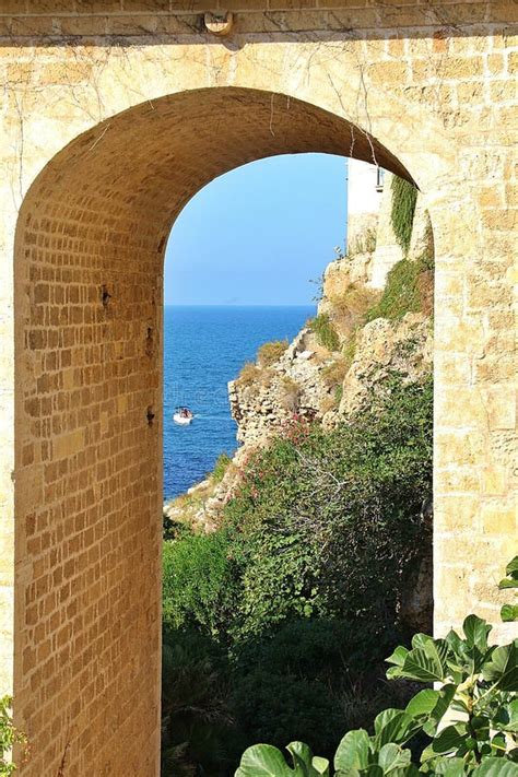 High Ancient Bridge Beach Bridge Beach Between Two Cliffs Fig Tree Sea View Under The Bridge
