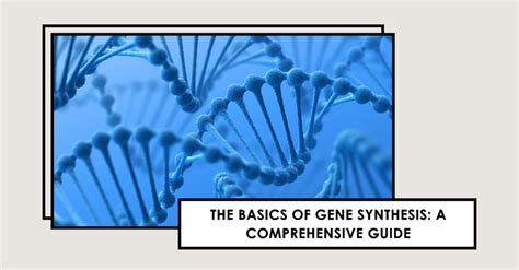 The Basics Of Gene Synthesis A Comprehensive Guide