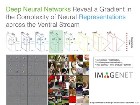 article overview deep neural networks reveal a gradient in the compl…