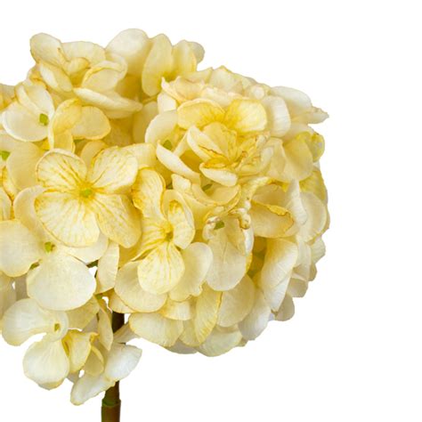 Cream Hydrangea 60cm Vegmoaccessories