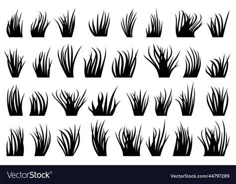 Grass Black Lawn Herb Meadow Eco Plant Bush Turf Vector Image