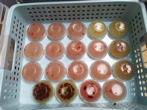 【超簡單的砵仔糕图片】吴大牛抱紧我下厨房