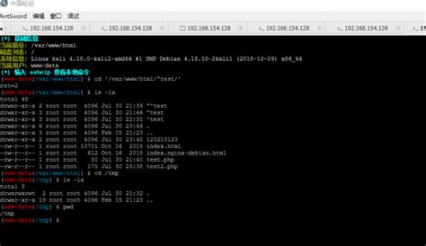 当网站根目录包含双引号”特殊字符时，终端执行命令失效 · Issue 202 · Antswordprojectantsword · Github