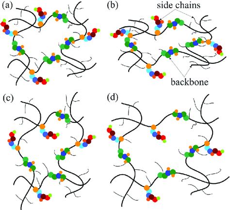 A A De Is A Polymer Network Composed Of Crosslinked Backbones And Download Scientific Diagram