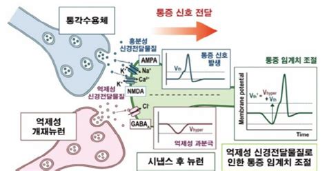 카이스트 김경민 교수팀 뉴로모픽 통각수용체 소자 구현 카이스트 김경민 교수팀 뉴로모픽 통각수용체 소자 구현