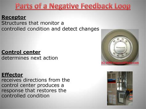 You Cant Have One Without The Other Ppt Download