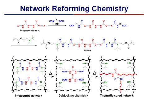 Zju Scientists Develop Approach To Transforming Polyurethane Forms Into