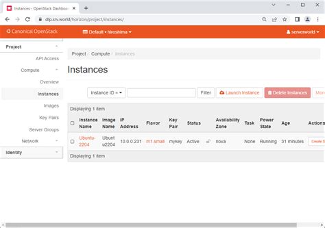 Ubuntu 22 04 Lts Openstack Zed Configure Horizon Server World