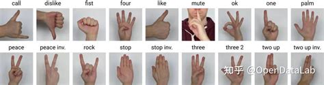 手部数据太难找？最全手部开源数据集分享 知乎