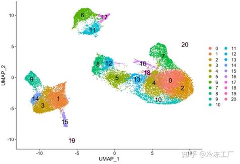 单细胞分析：细胞聚类（十） 知乎