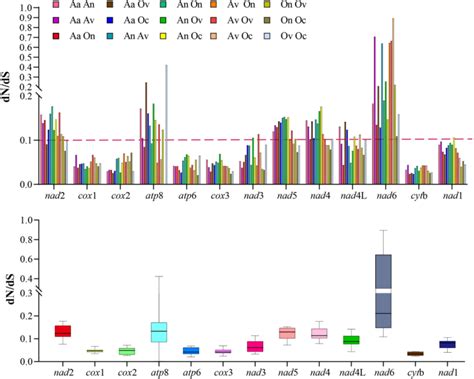 一网打尽——线粒体基因组高级分析 知乎