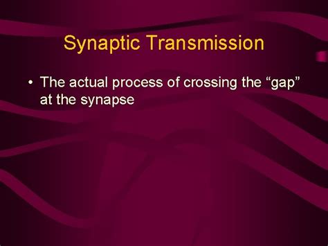 Synaptic Transmission The Actual Process Of Crossing The