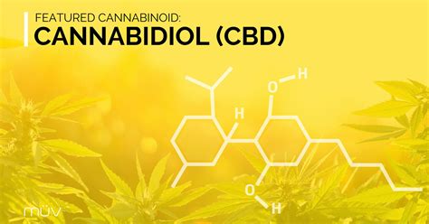 What Is Cbd Uses Effects Benefits And How To Consume MÜv