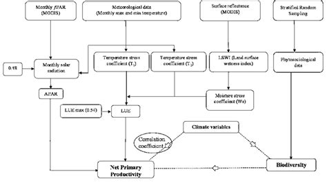 Casa Model Based Npp Estimation Download Scientific Diagram