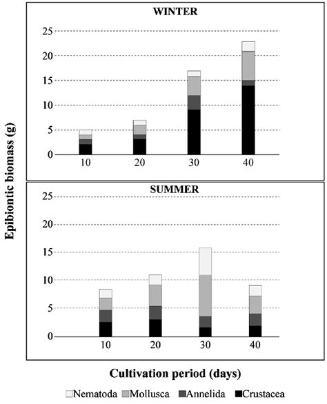 Biomass Dw Distribution Of The Major Groups Of Epibionts Associated