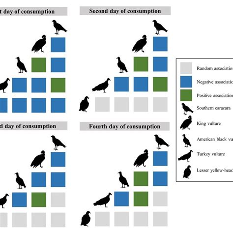 Spatio Temporal Co Occurrence For The Different Days Of Consumption At