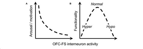 Proposed Role Of Ofc Interneurons In Regulation Of Behavior A The Download Scientific