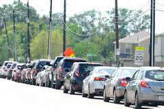 These Houston Trees And Plants Attract And Help Pollinators