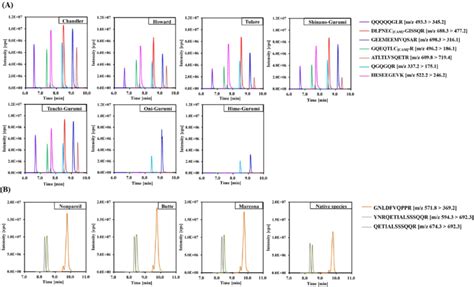 Representative Lc Ms Ms Chromatograms Extracted Ion Chromatograms Download Scientific Diagram