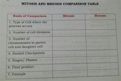 Mitosis Vs Meiosis Table