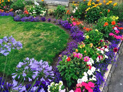 Colorful Annual Gardens