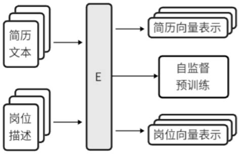 基于大规模预训练语言模型和对比学习的简历推荐方法与流程 基于大规模预训练语言模型和对比学习的简历推荐方法与流程
