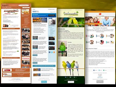 Cybersecurity Newsletter Template