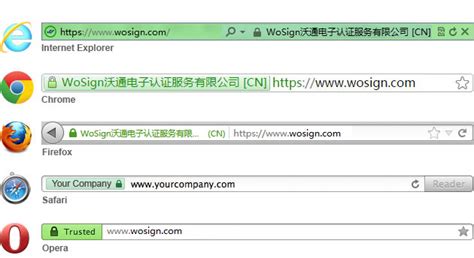 Extended Validation SSL Certificate WoSign SSL Certificates