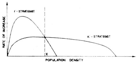 K Selected Species Graph