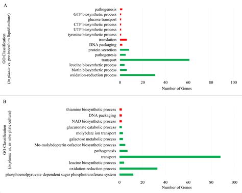 Analysis Of The In Planta Transcriptome Expressed By The Corn Pathogen Pantoea Stewartii Subsp
