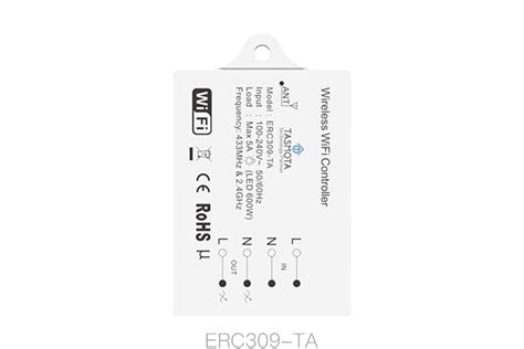 Tasmota Converter Ebelong