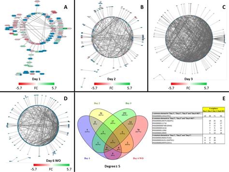 Cytoscape Generated Dynamic Molecular Interaction Networks After