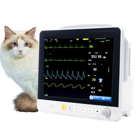 Soymed 12 Inch 6 Multiparameter Patient Monitor Cardiac Monitor Vet Monitor Touch Screen Bulit