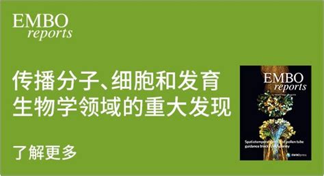 动态真菌细胞壁的结构 Nature Reviews Microbiology X Mol