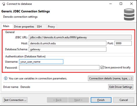 Denodo Jdbc Connection Settings Main Tab Its Documentation