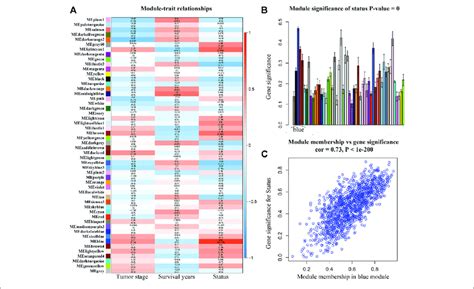A Heatmap Of The Correlation Between Module Eigengenes Mes And