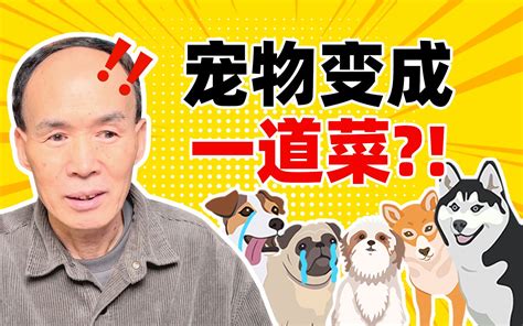 宠物成了累赘就扔掉那你也会抛弃亲情友情和爱情 哔哩哔哩