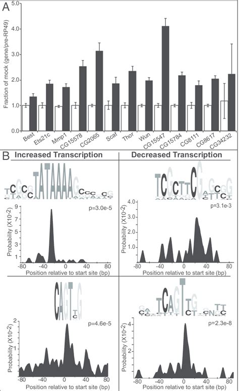 Genome Wide Analysis Of Nascent Rna In Taf1 Depleted Cells A Rt Qpcr Download Scientific