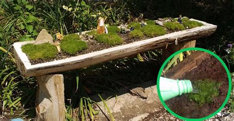 Watch Make Your Own Beautiful Log Planter For Your Yard