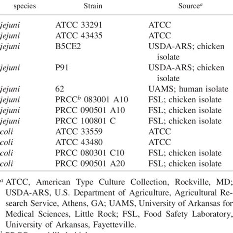 Description Of Campylobacter Strains Tested Download Scientific Diagram