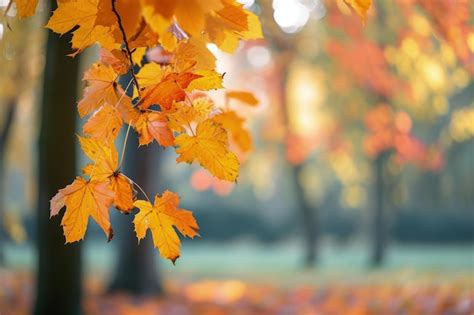 Premium Photo Cluster Of Leaves On Tree