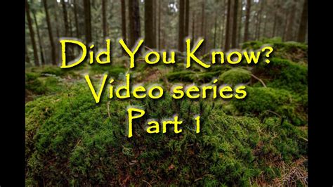 Didyouknow Part 1 Youtube