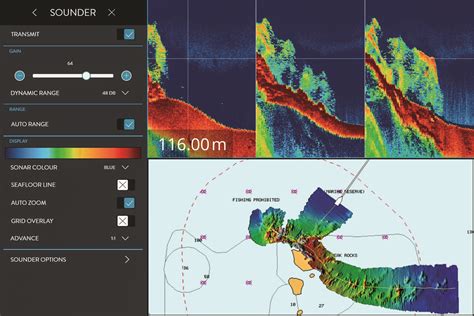 Wassp Has Japanese Giant Buzzing Boating New Zealand