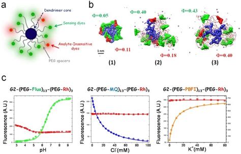 A Schematic Diagram Of The Nanosensors B Representative Molecular