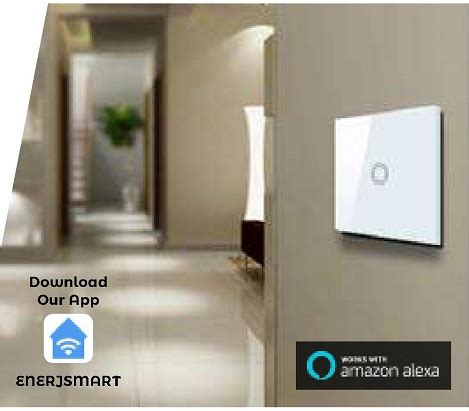 Wifi Smart Switch Purchase Ie