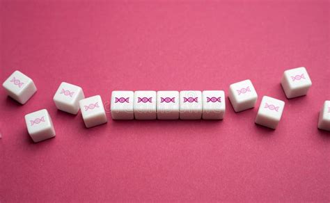 Assemble The Genetic Dna Chain Genetic Engineering Modification Of