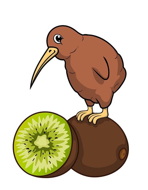 Download Kiwi Bird Nature Royalty Free Stock Illustration Image Pixabay