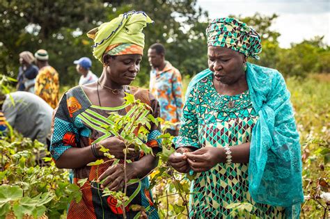 Sustainable Livelihoods How Our New Principle Supports Better Cottons