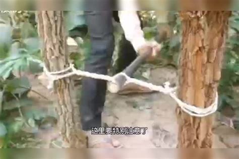 这个人太牛了，用一根绳子就能抓到鱼，他是怎么做到的！绳子